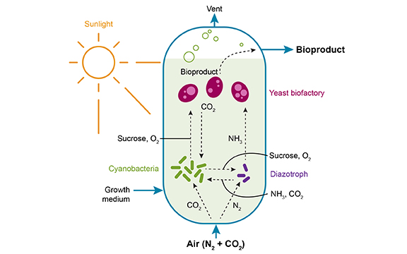 Thrust Area 2 Projects | PNNL