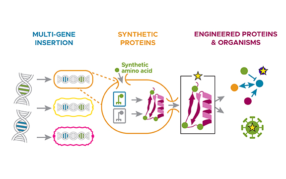 Thrust Area 2 Projects | PNNL