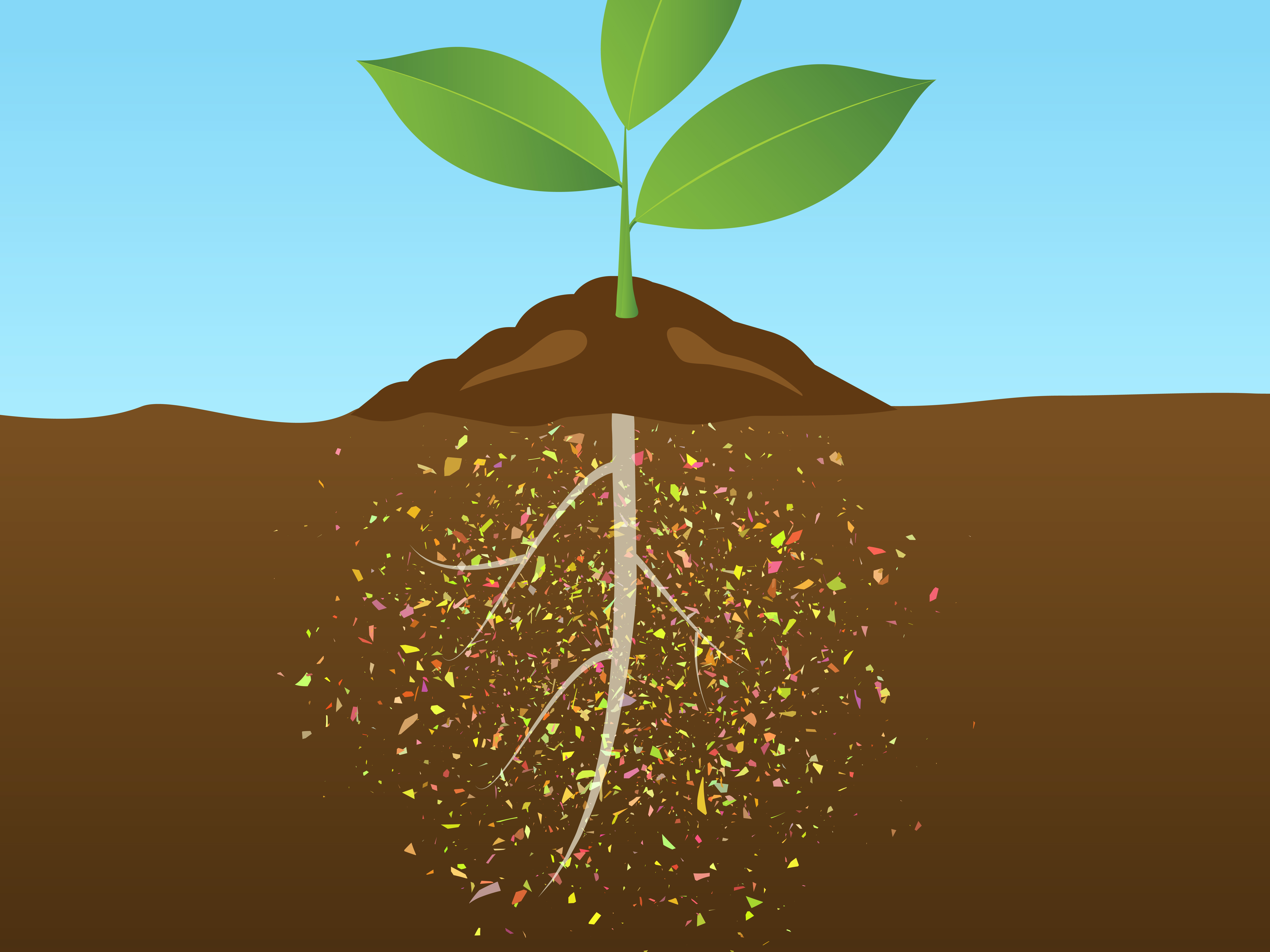 Roots Of Plants Clipart