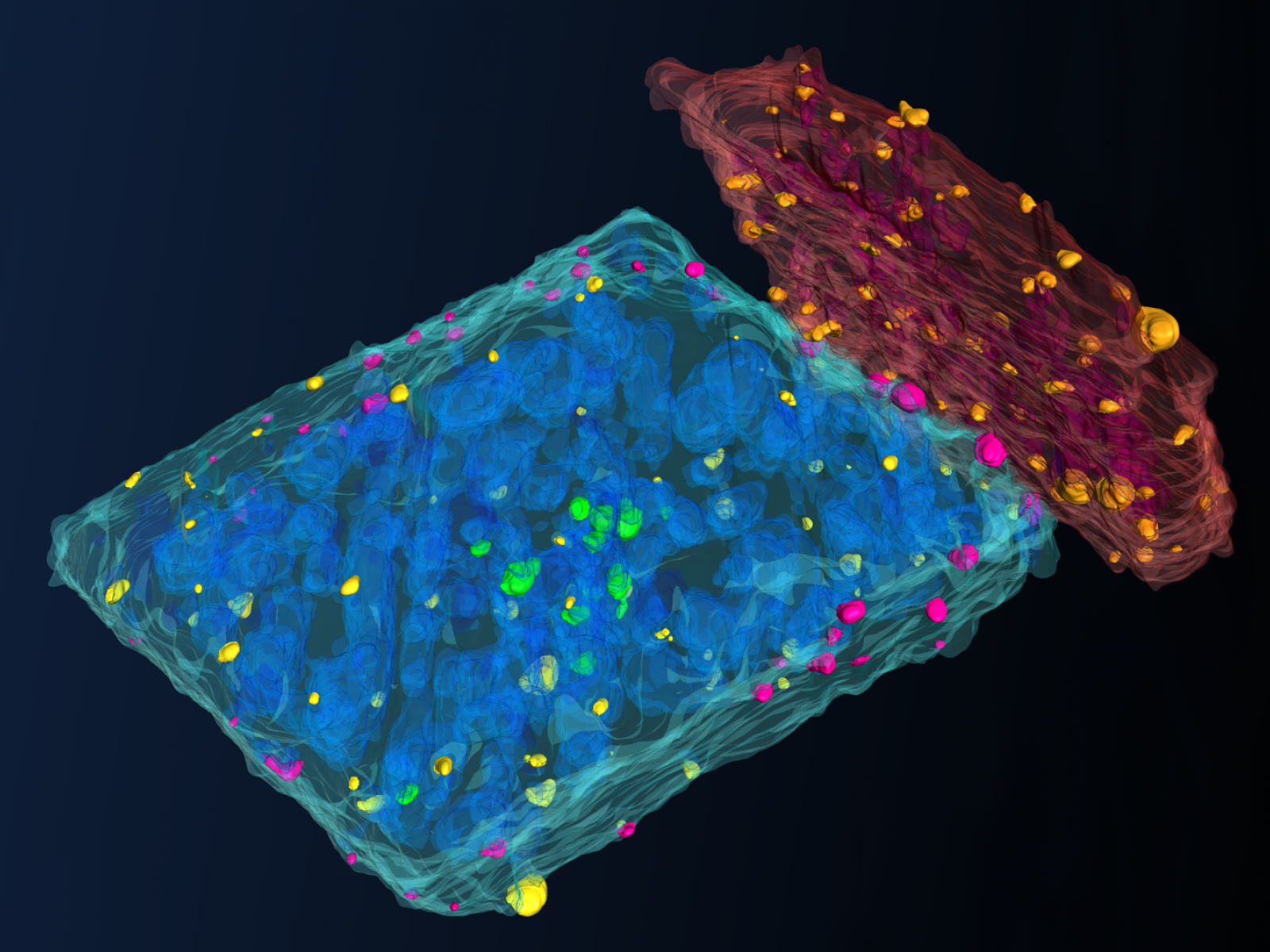 Institute for Integrated Catalysis | PNNL