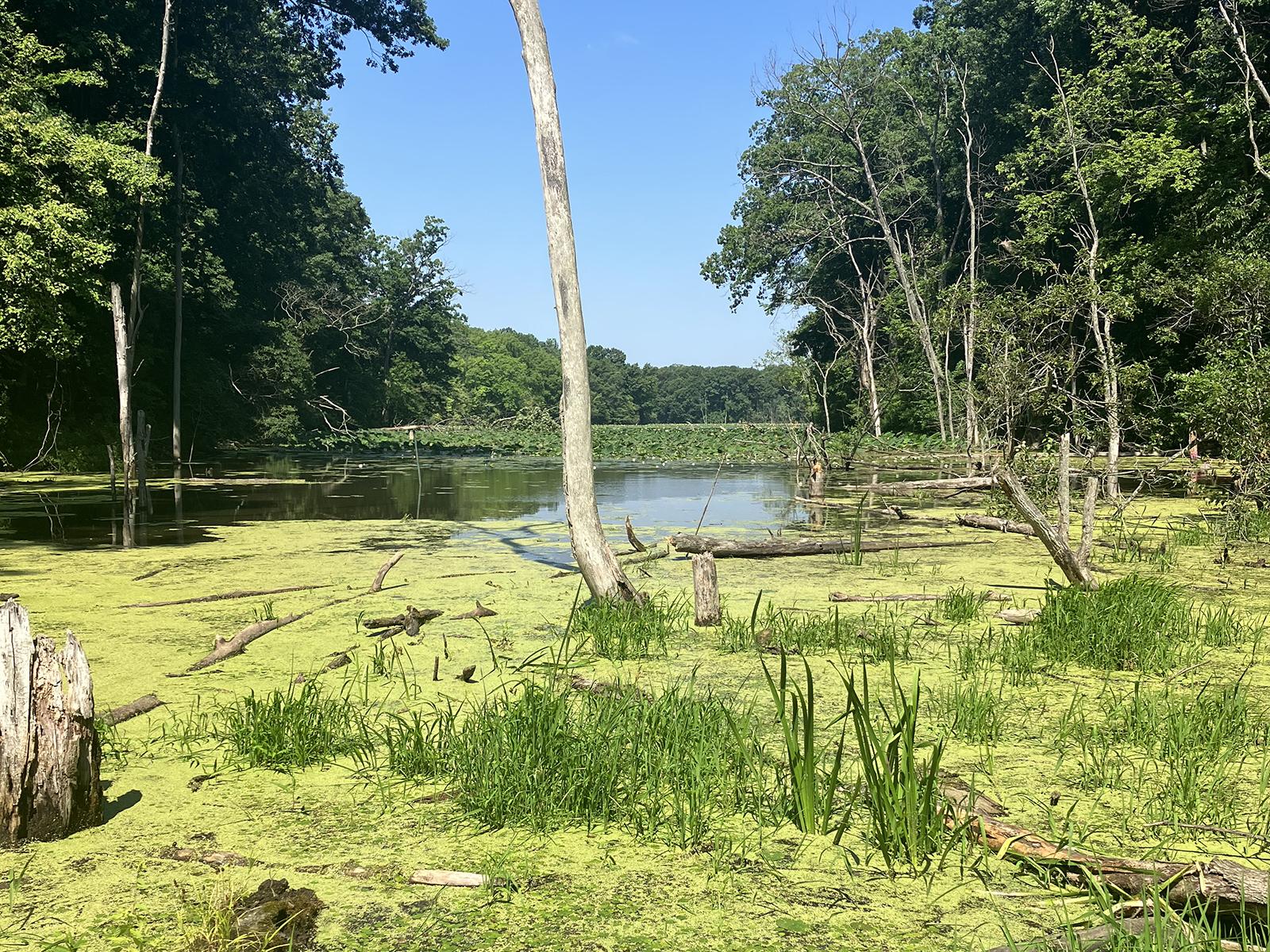 Optimizing Random Forest Machine Learning Models to Predict Water ... Optimizing Random Forest Machine Learning Models to Predict Water ...
