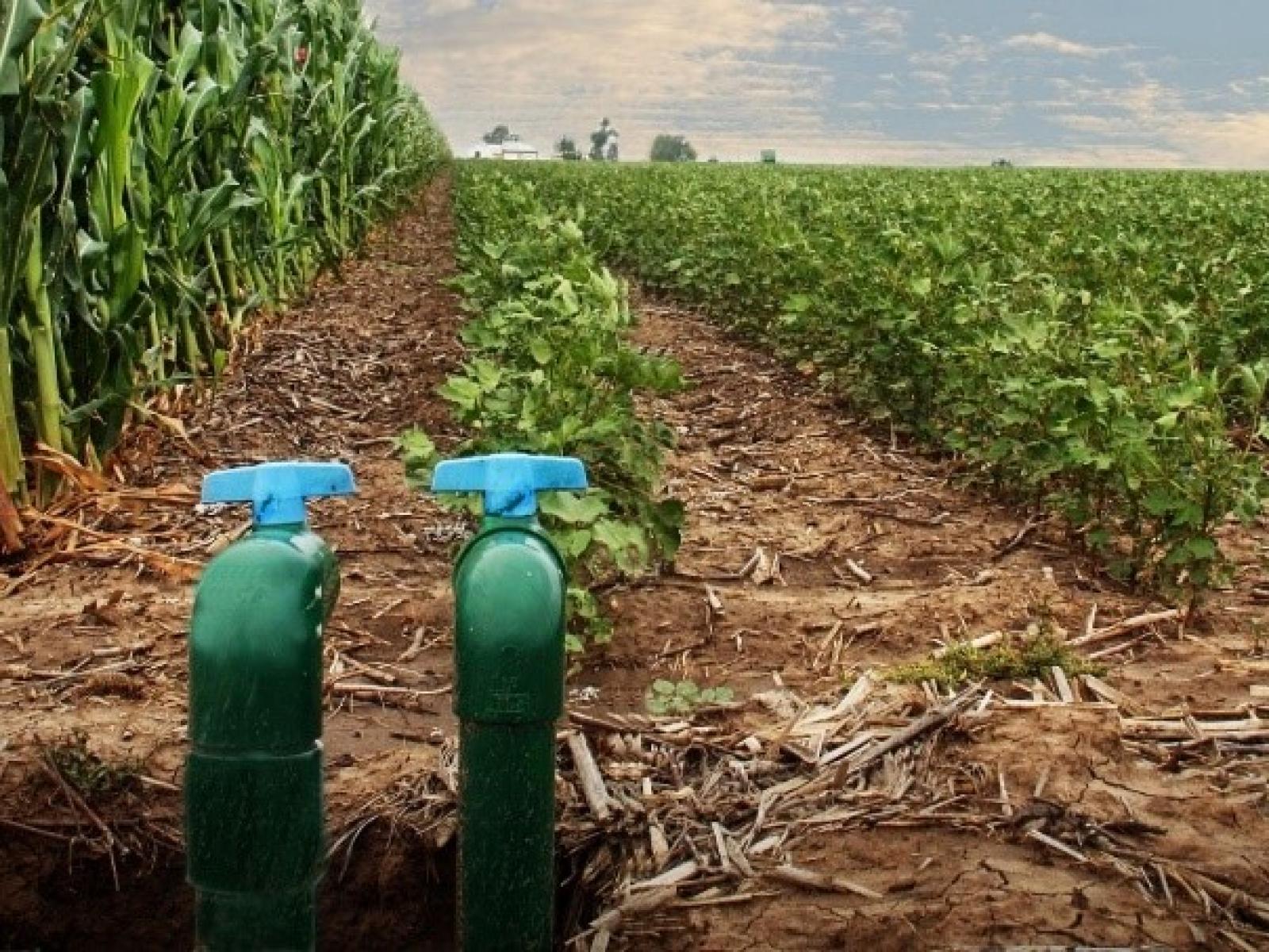 Influence of Groundwater Extraction Costs and Resource Depletion Limits ...