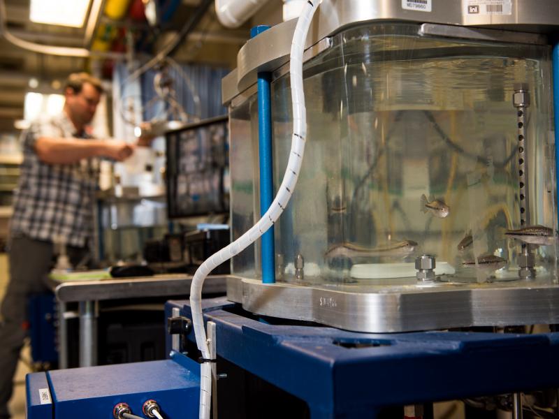 Aquatic Research Laboratory | PNNL
