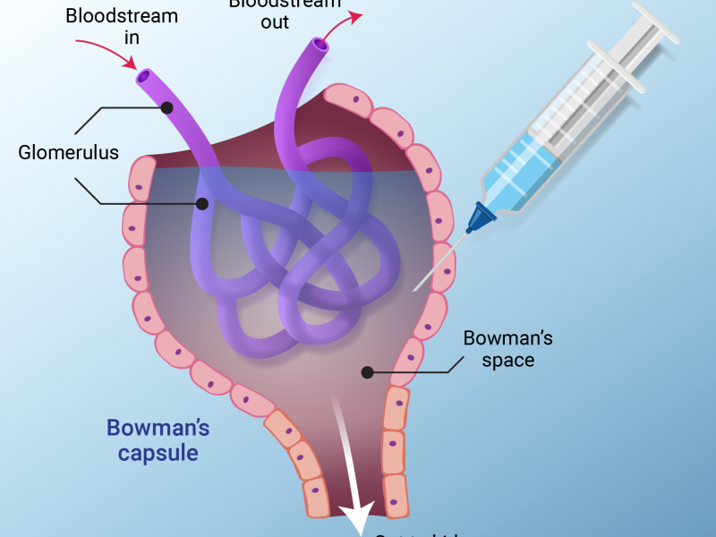 Pacific Northwest National Laboratory | PNNL