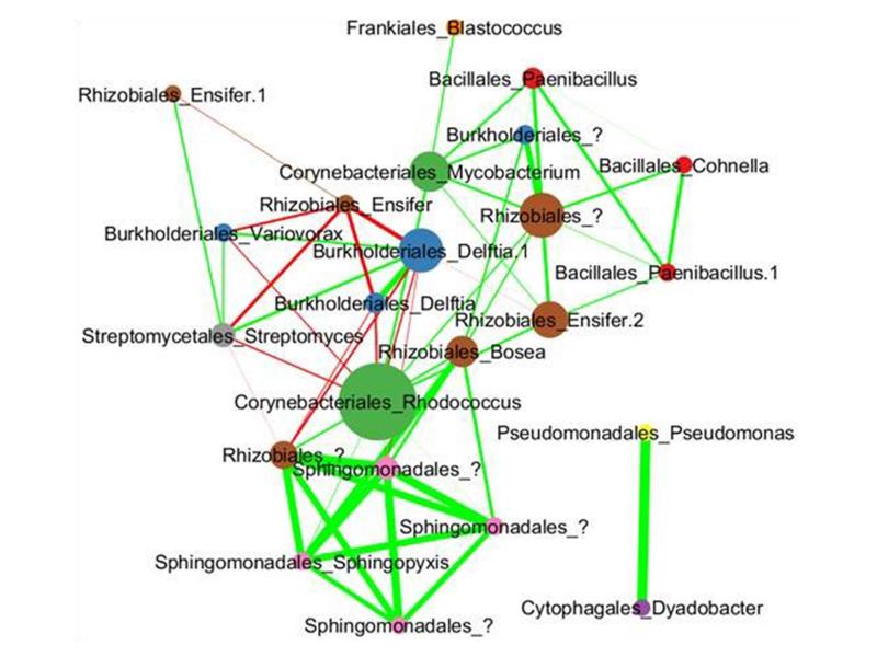 Soil Microbiome Research | PNNL